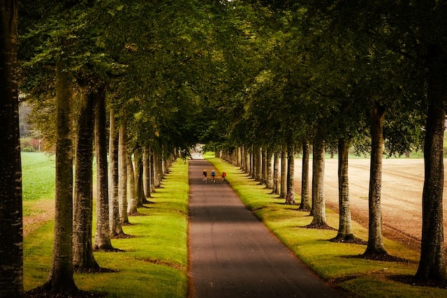 Pedal Through Paradise: Super Scenic Cycling Routes In Dorset For All ...